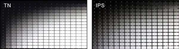 TN LCD vs. IPS LCD: What’s the Difference?