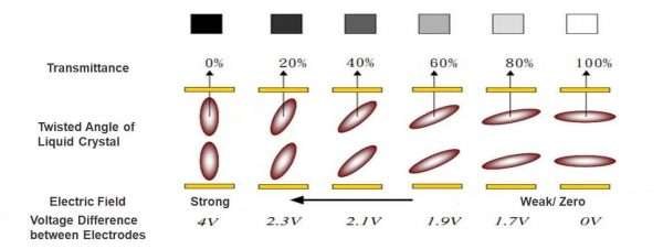 Quick Understanding of the Working and Phenomenon of LCD